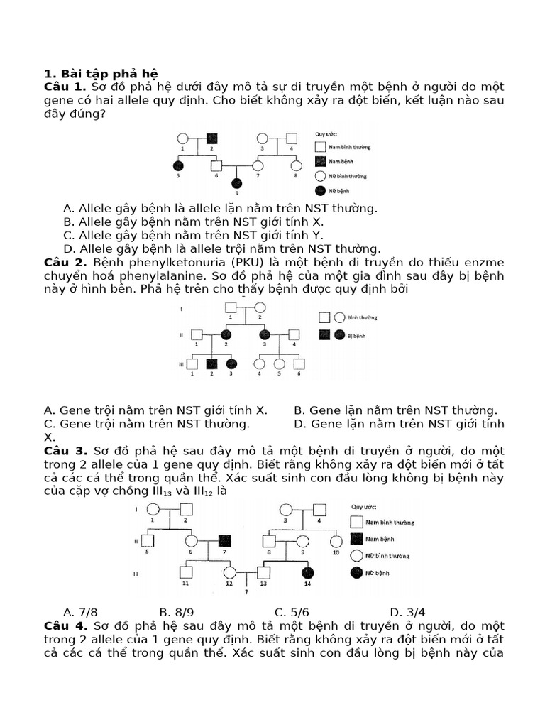 Bài Tập Phả Hệ HSG 11 HS | PDF