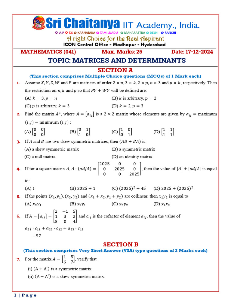 MATHEMATICS (041) QP DT_17-12-2024 | PDF | Matrix (Mathematics) | Determinant