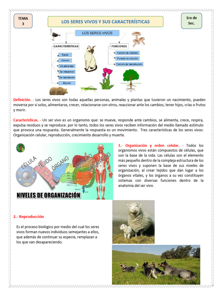 Funciones de reproducción en seres vivos | PDF | Organismos | Reproducción