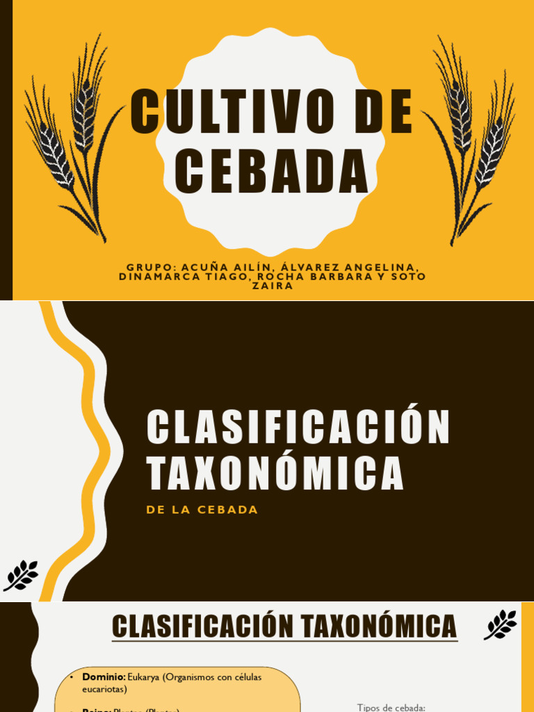 Wa0010. | PDF | Cebada | Siembra