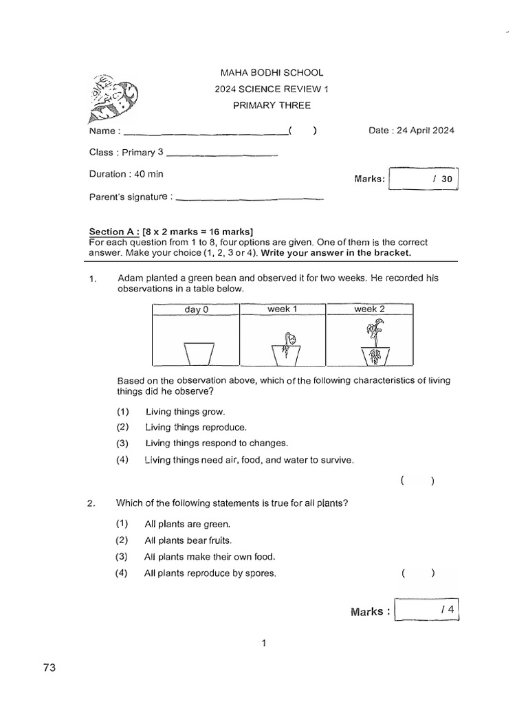 P3 Science WA1 2024 MahaBodhi Exam Papers | PDF | Botany | Plants