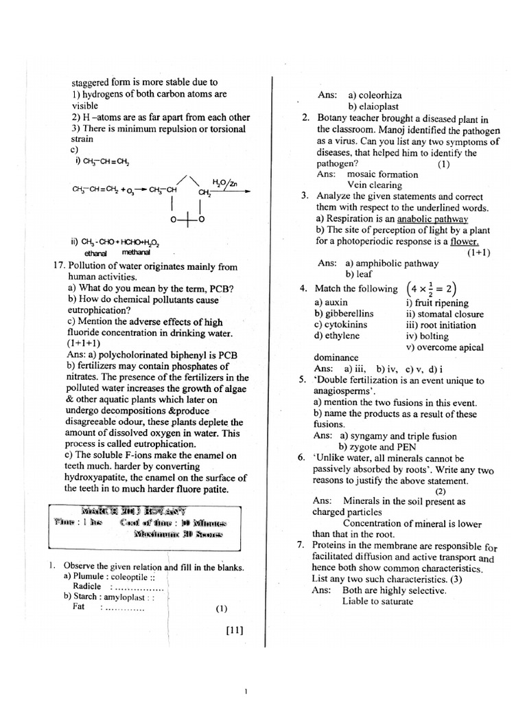 +1 Botany Prev Year QN and Answers | PDF