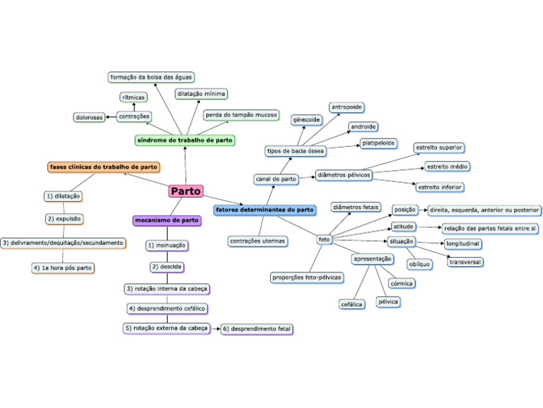 S3 - M1 - GT3 - Parto | PDF