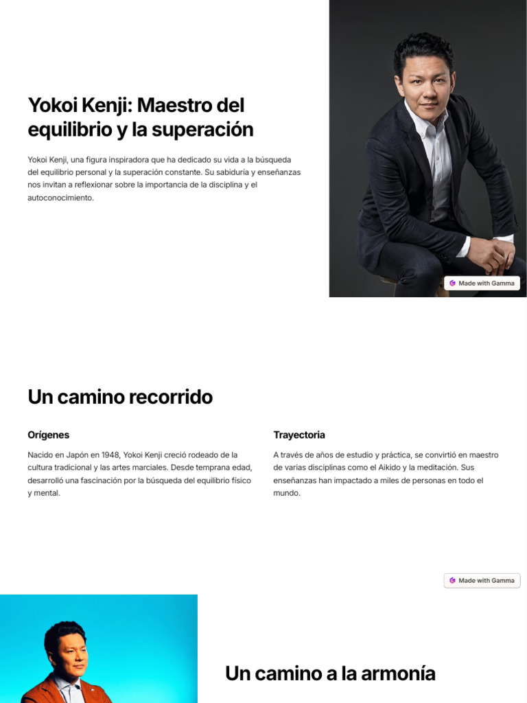 Yokoi Kenji: Equilibrio y Superación | PDF