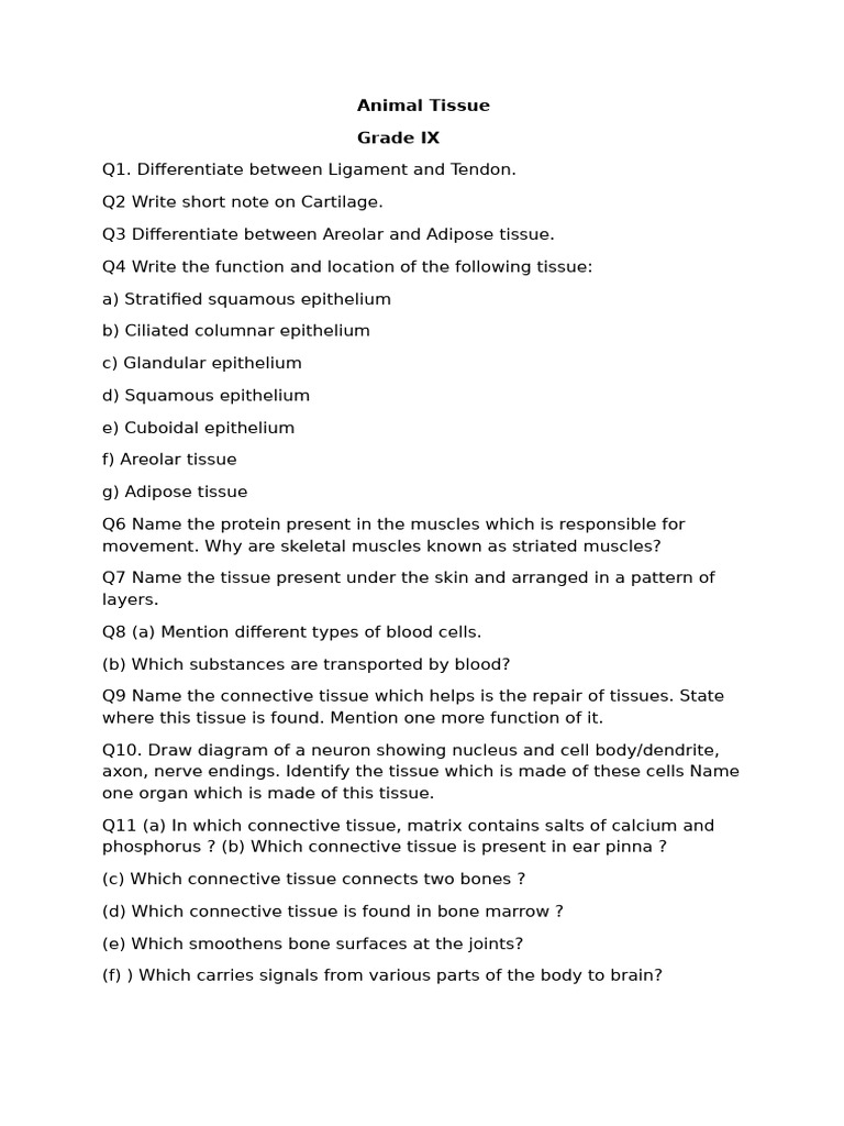 Animal Tissue Worksheet 3 | PDF