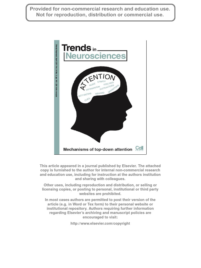 Experience-Dependent Structural Plasticity in The Cortex | PDF ...