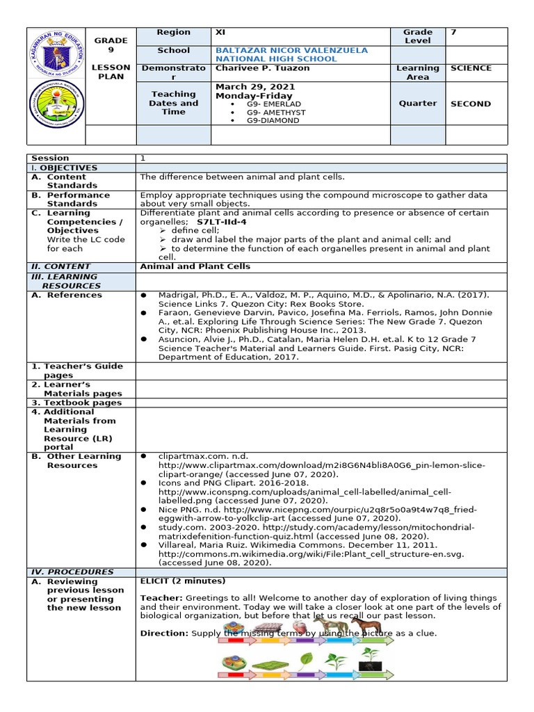 Grade 9 Science Lesson on Cell Types | PDF | Cell (Biology ...