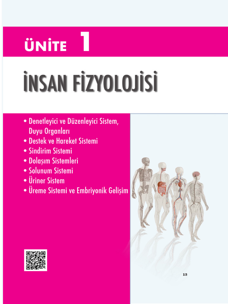 Meb Ayt Alti Cizili Full Tekrar 240205 124928 | PDF