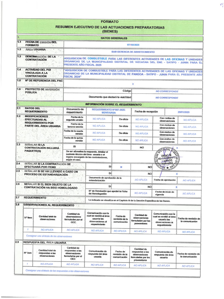 RESUMEN+EJECUTIVO_20250207_203611_044 | PDF