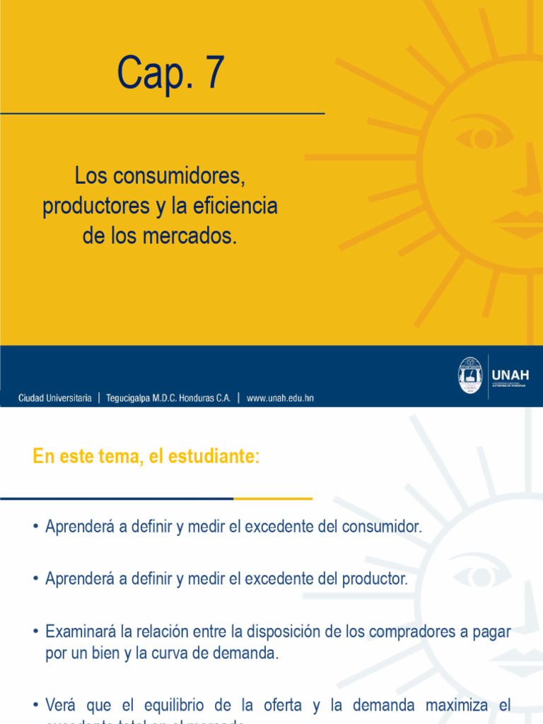 Cap 7 | PDF | Excedente económico | Mercado (economía)