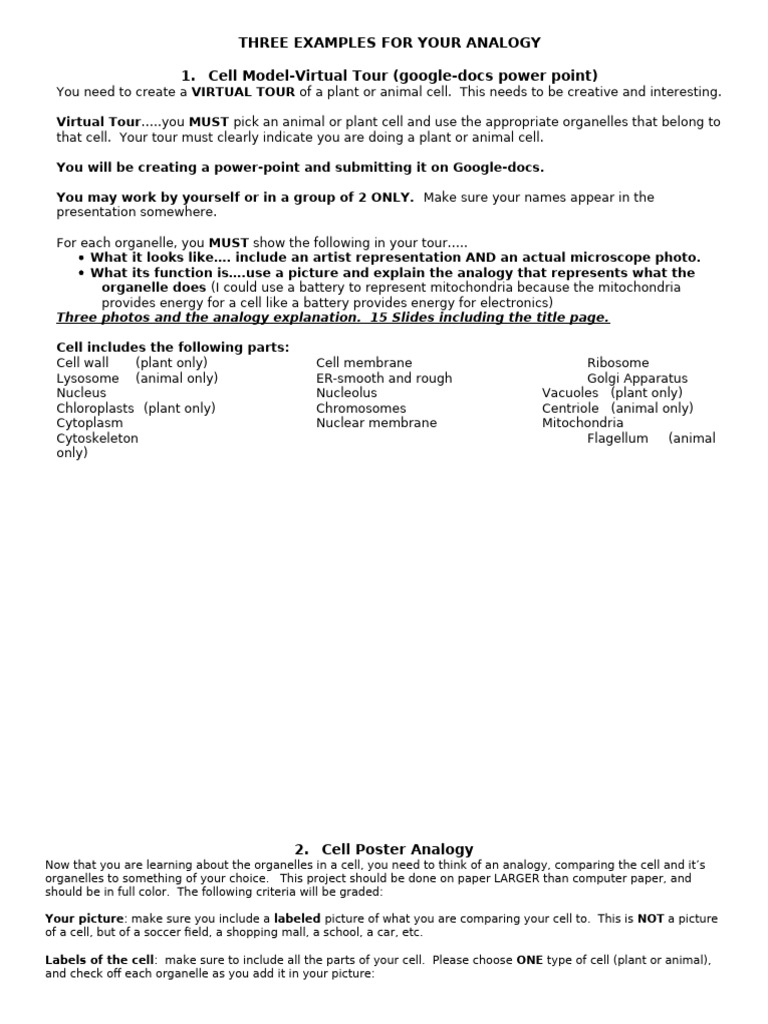 Three Examples For Your Analogy | PDF | Cell (Biology) | Organelle