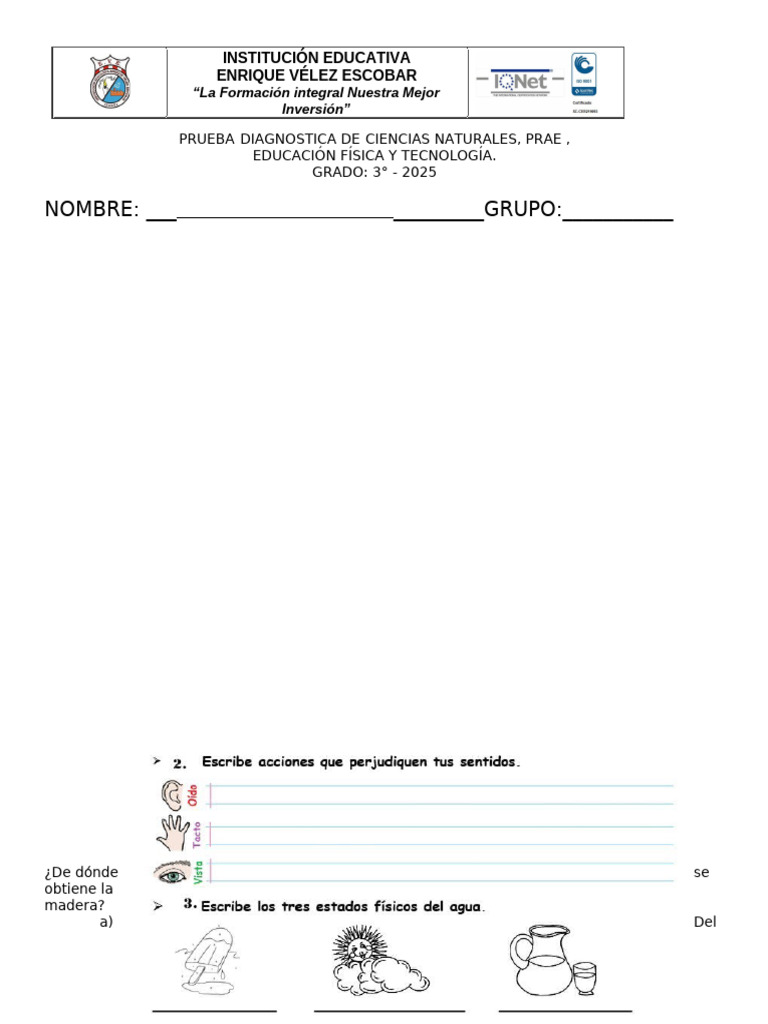 Prueba Diagnóstica 3° Ciencias 2025 | PDF
