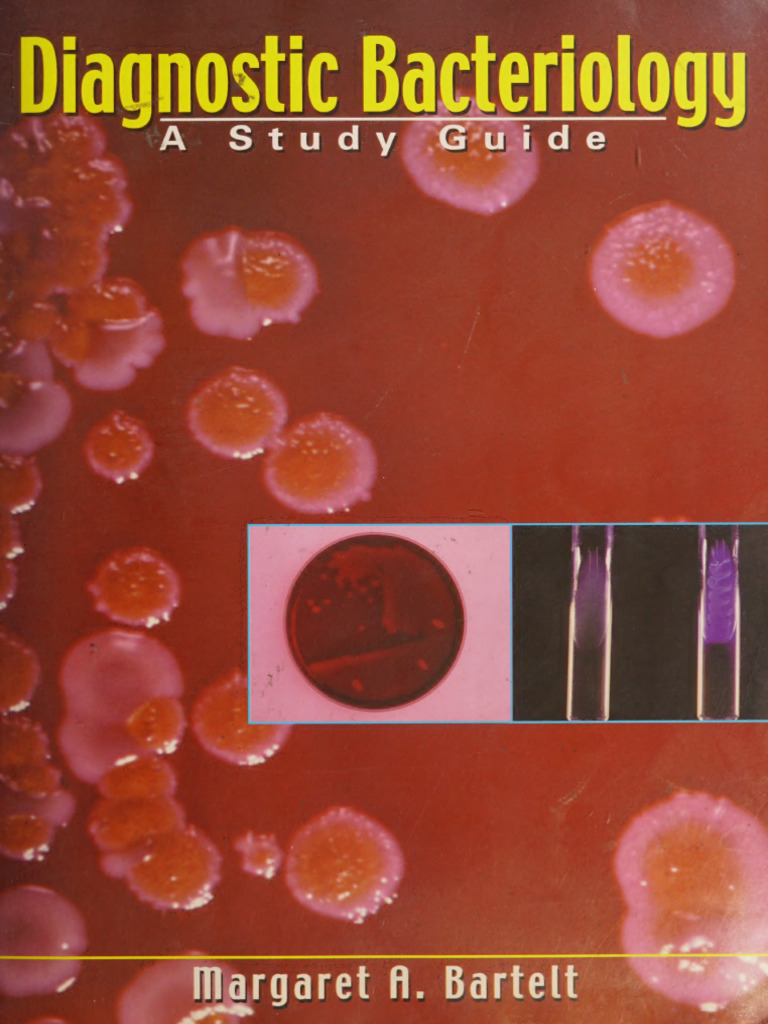 Diagnostic Bacteriology Study Guide | PDF | Streptococcus | Gram ...