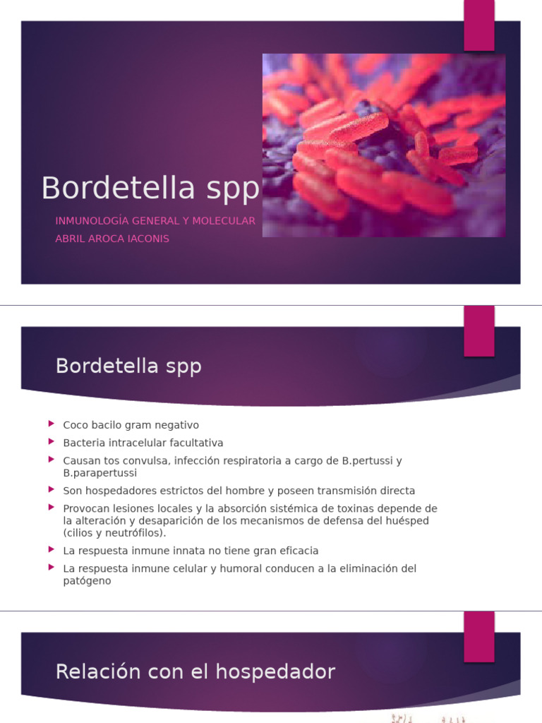 Bordetella SPP | PDF | Sistema inmune | Citocina