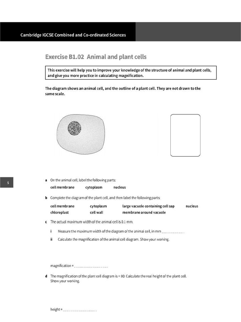 Biology Cells worksheet | PDF