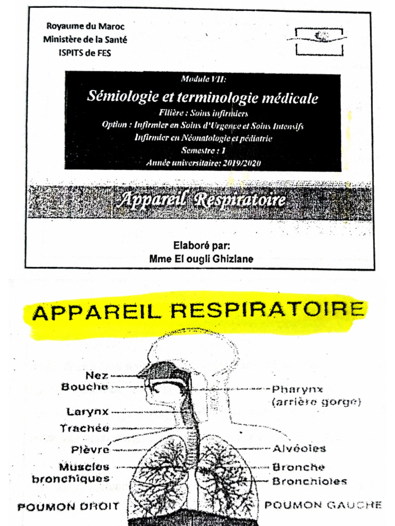 Semio Respratoire | PDF