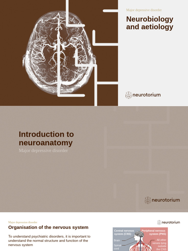 Major Depressive Disorder Neurobiology and Aetiology | PDF | Chemical Synapse | Synapse