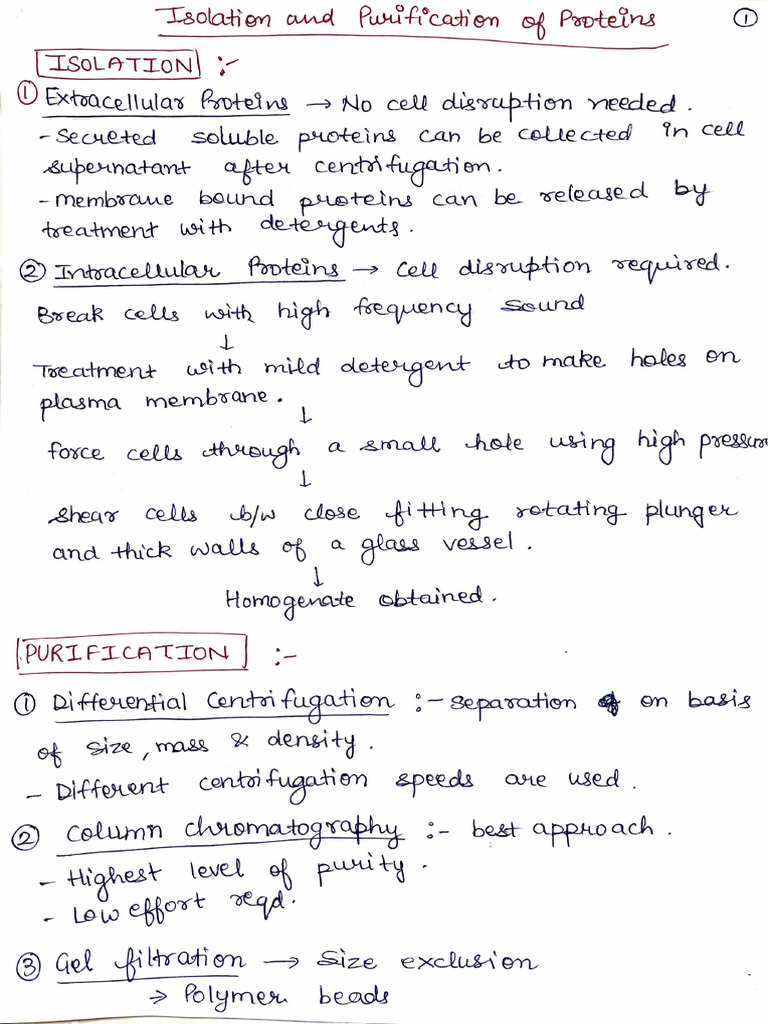 Protein Isolation and Purification | PDF