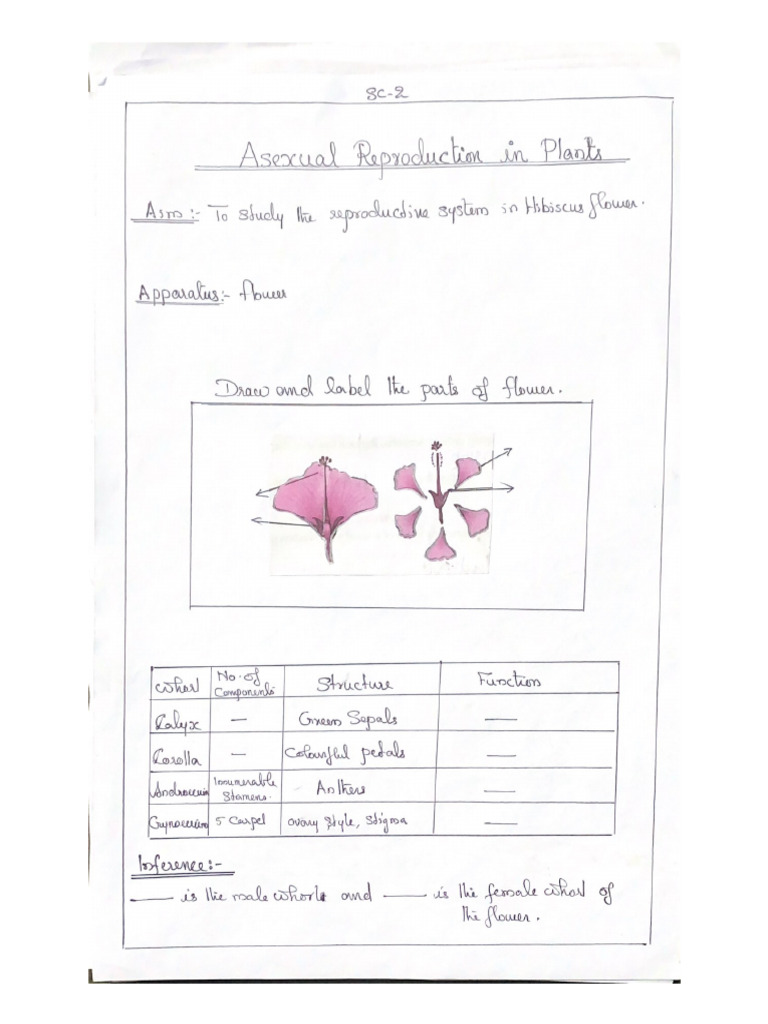 Science 2 STD 10th Board Practical Practice Papers | PDF