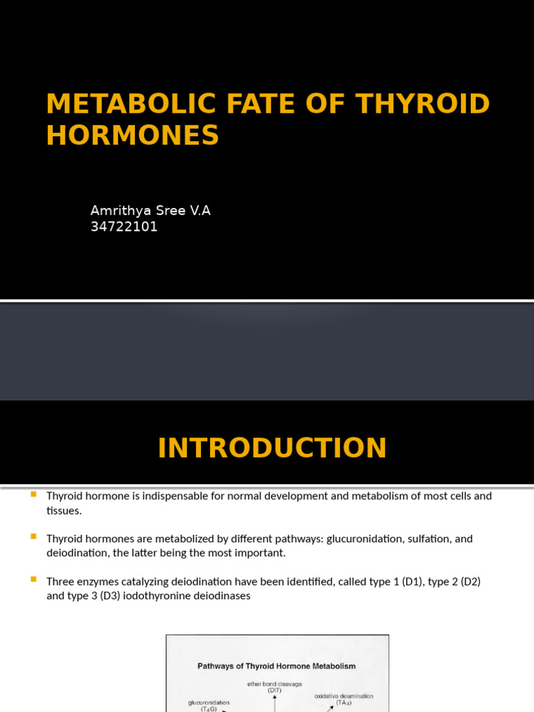 Metabolic Pathways of Thyroid Hormones | PDF