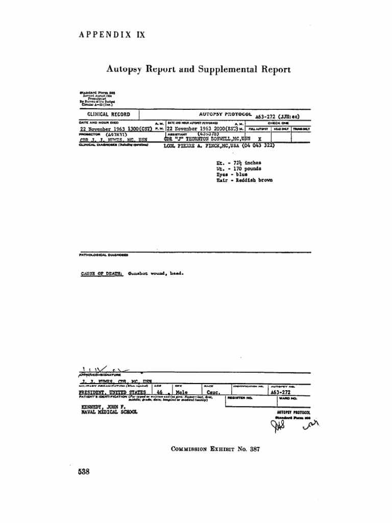 Appendix IX: Clinical Record | PDF | Lung | Heart