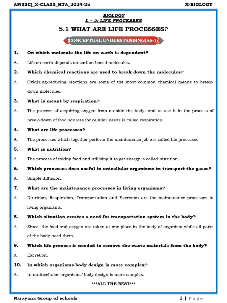 Life Processes in Biology: Key Concepts | PDF