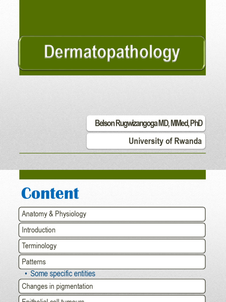 Dermatopathology 2024-25 | PDF | Melanoma | Epidermis