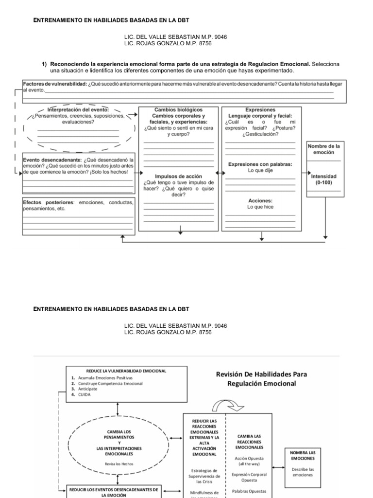 Habilidades de Regulación Emocional DBT | PDF | Las emociones ...