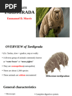 Phylum Priapulida | PDF