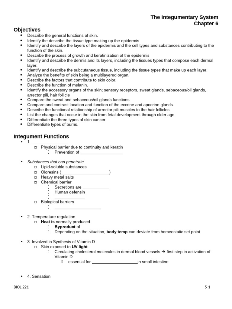 Chapter 6 Integumentary System | PDF | Skin | Integumentary System