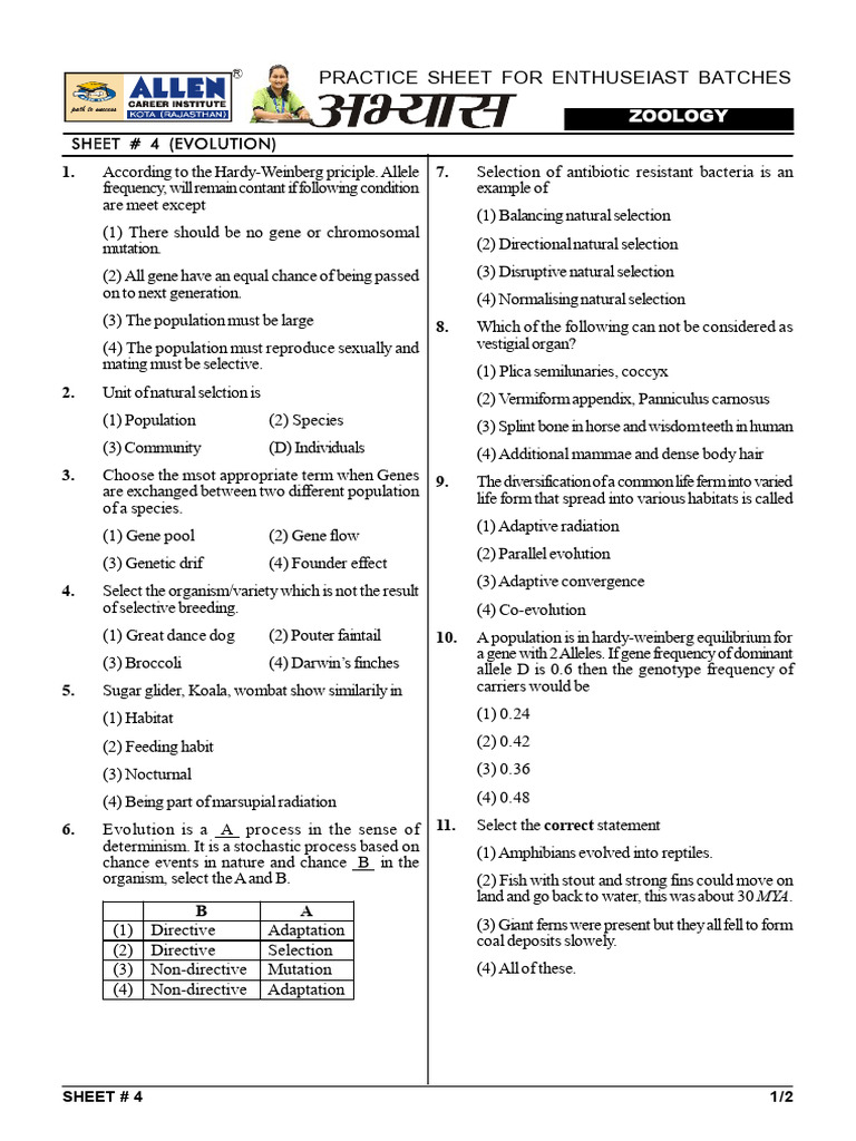 Evolution Practice Sheet SEO | PDF | Natural Selection | Evolution