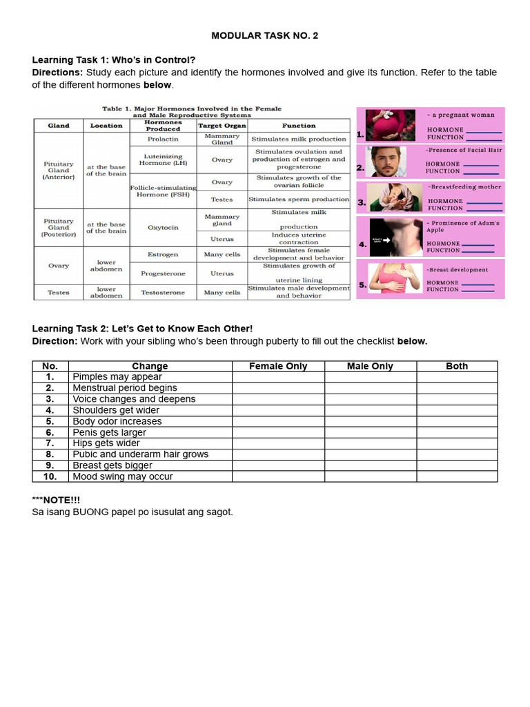Modular Task No. 2 | PDF