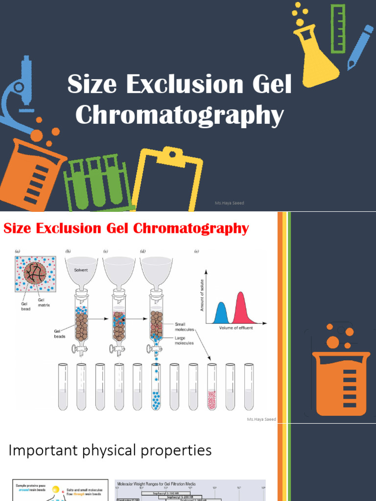Size Exclusion Gel Chromatography - Edited Dr. Noha | PDF ...