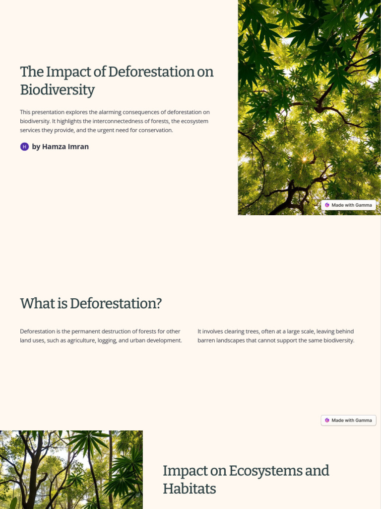 The Impact of Deforestation On Biodiversity | PDF | Deforestation ...