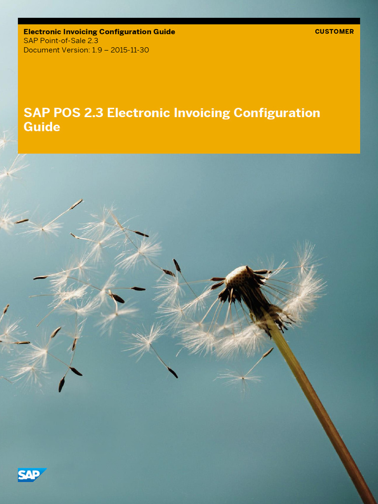 SAP E Invoicing Configuration | PDF | Point Of Sale | Invoice