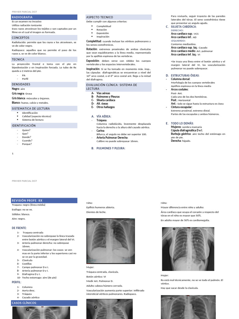 RX Rafa | PDF | Tórax | Pulmón