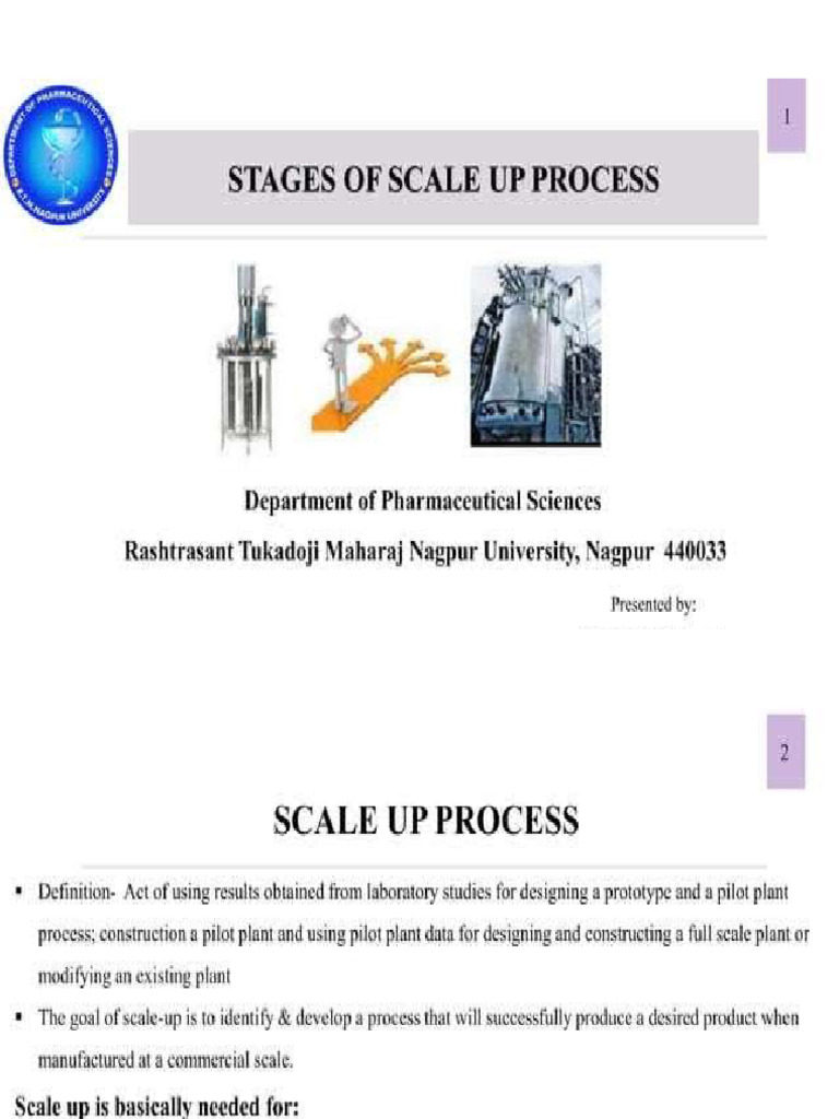 Stages of Scale Up Process | PDF