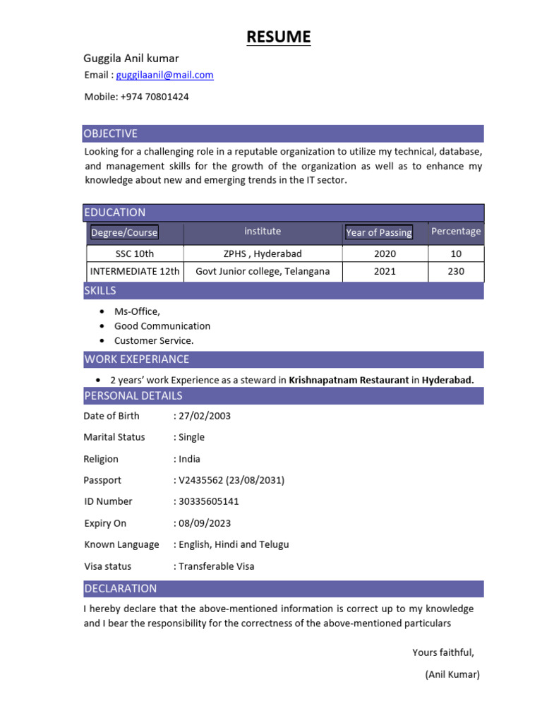 Anil Kumar's Professional Resume | PDF