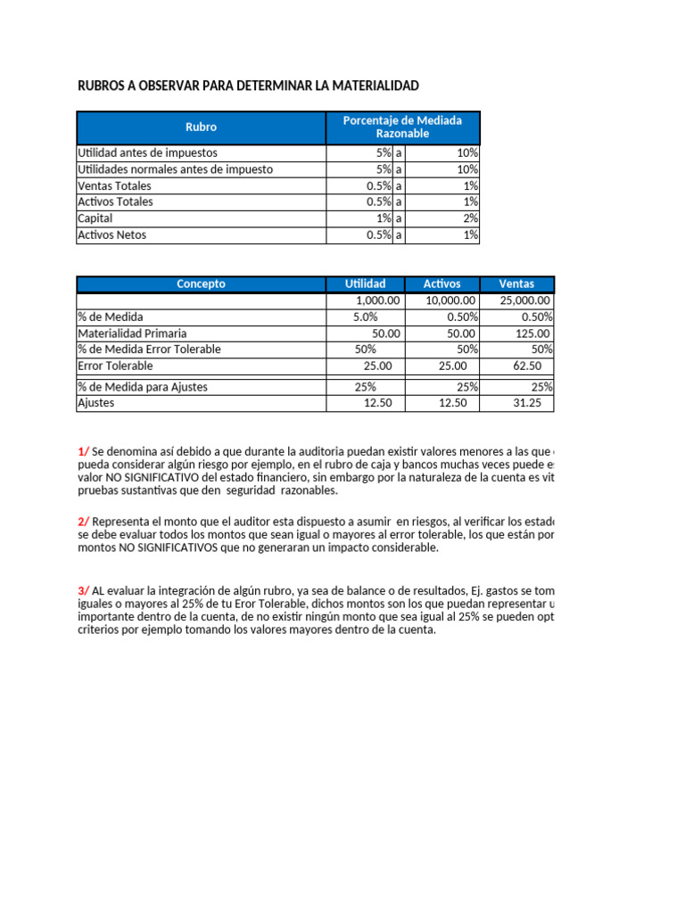 Determinación de La Materialidad | PDF | Auditoría | Economias