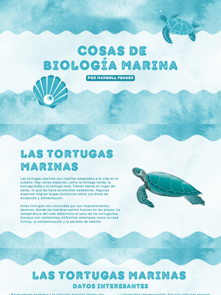 Vida Marina | PDF | Nutria | Tortuga