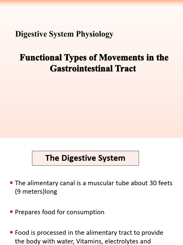 Digestive System Motility | PDF | Gastrointestinal Tract | Muscle ...
