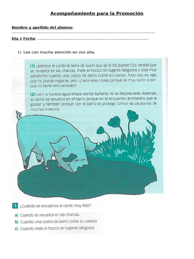 Acompañamiento Promoción 4° e El Cerdo Nivel 1 | PDF