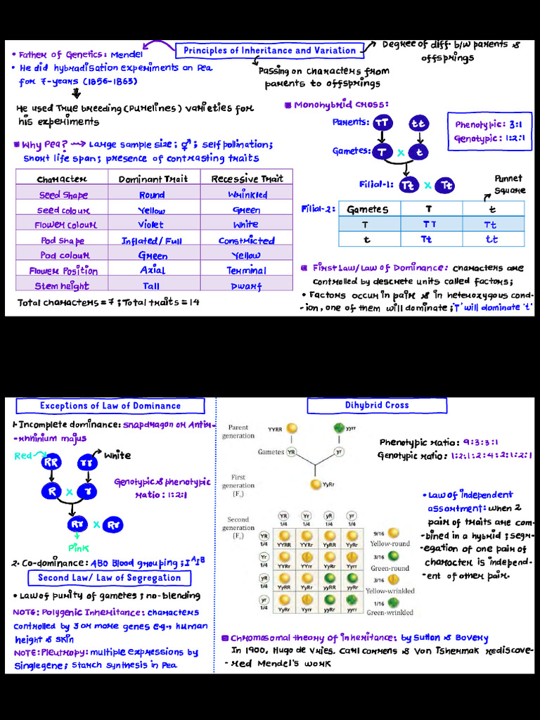 Principles of Inheritance and Variation Class Notes Lakshya NEET ...