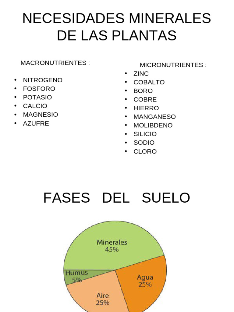 Clase 3 Necesidades Minerales de Las Plantas | PDF | Fotosíntesis ...