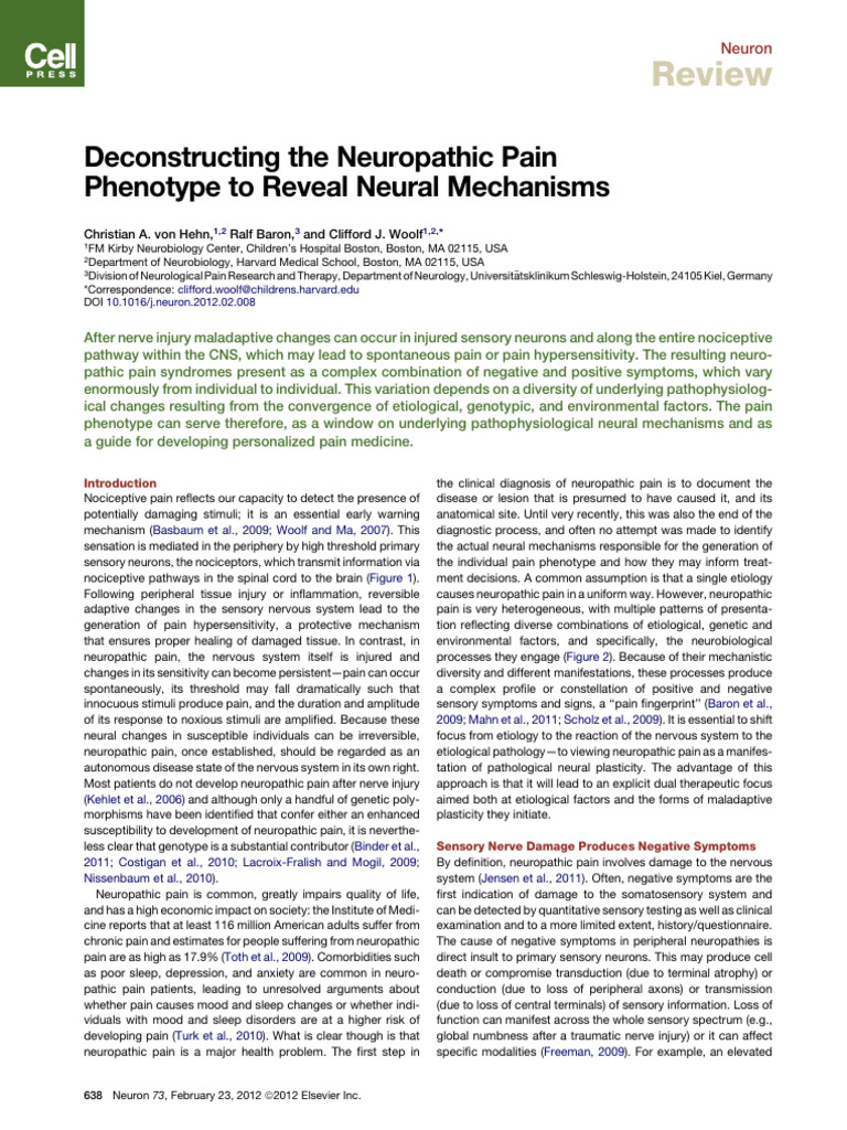 Deconstructing the Neuropathic Pain Phen | PDF | Pain | Peripheral ...