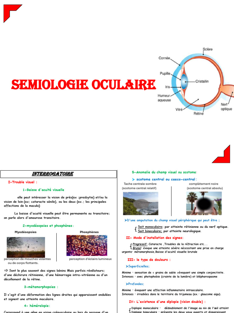 Troubles Visuels et Examen Oculaire | PDF | Caractéristiques faciales ...