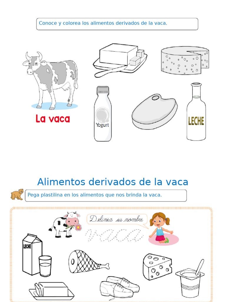 Alimentos y Derivados de Animales | PDF
