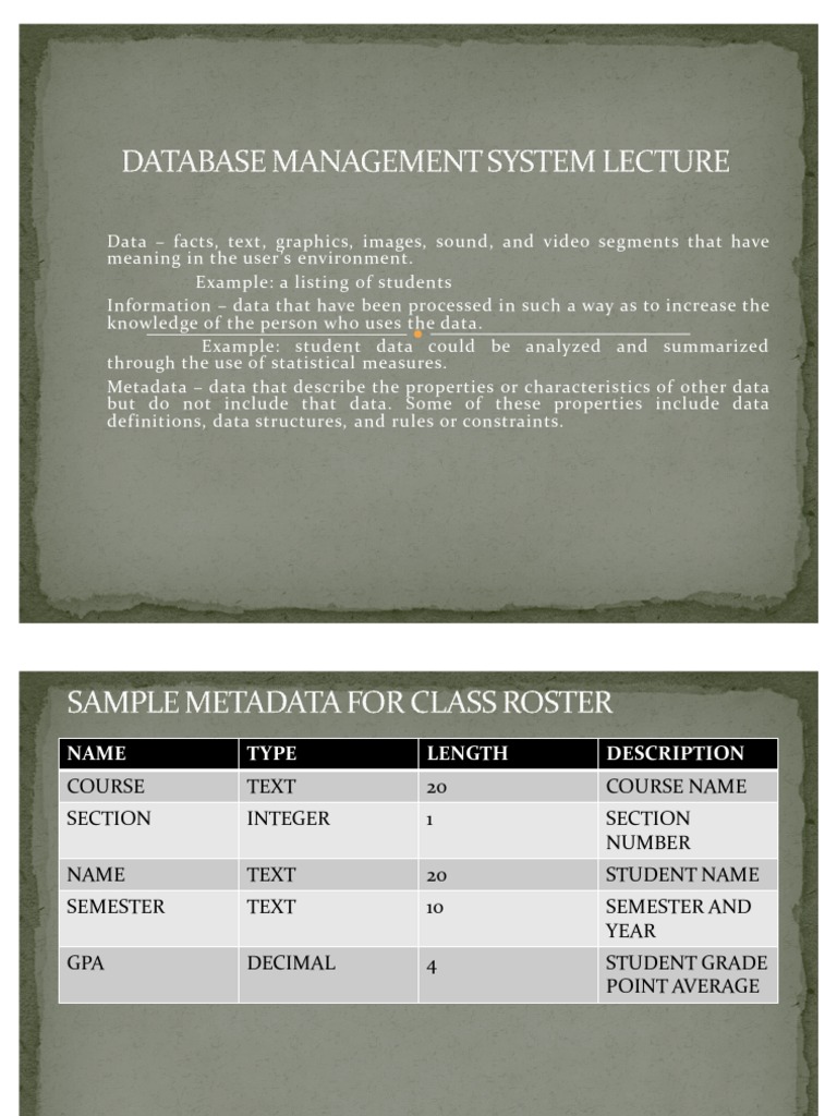 Database Management System Lecture | Download Free PDF | Databases | Data Model