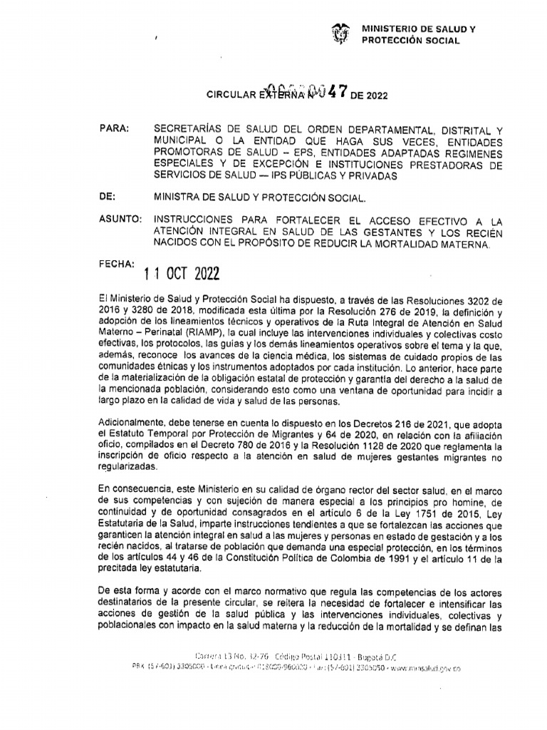 Instrucciones para Atención Salud Materna | PDF