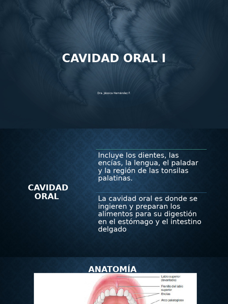1.cavidad Oral I | PDF | Lengua | Boca